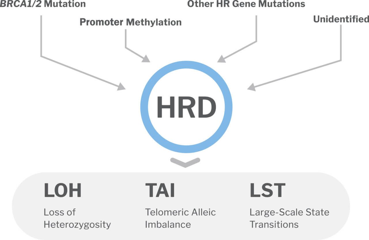 MyChoice | Clinicians | Myriad International